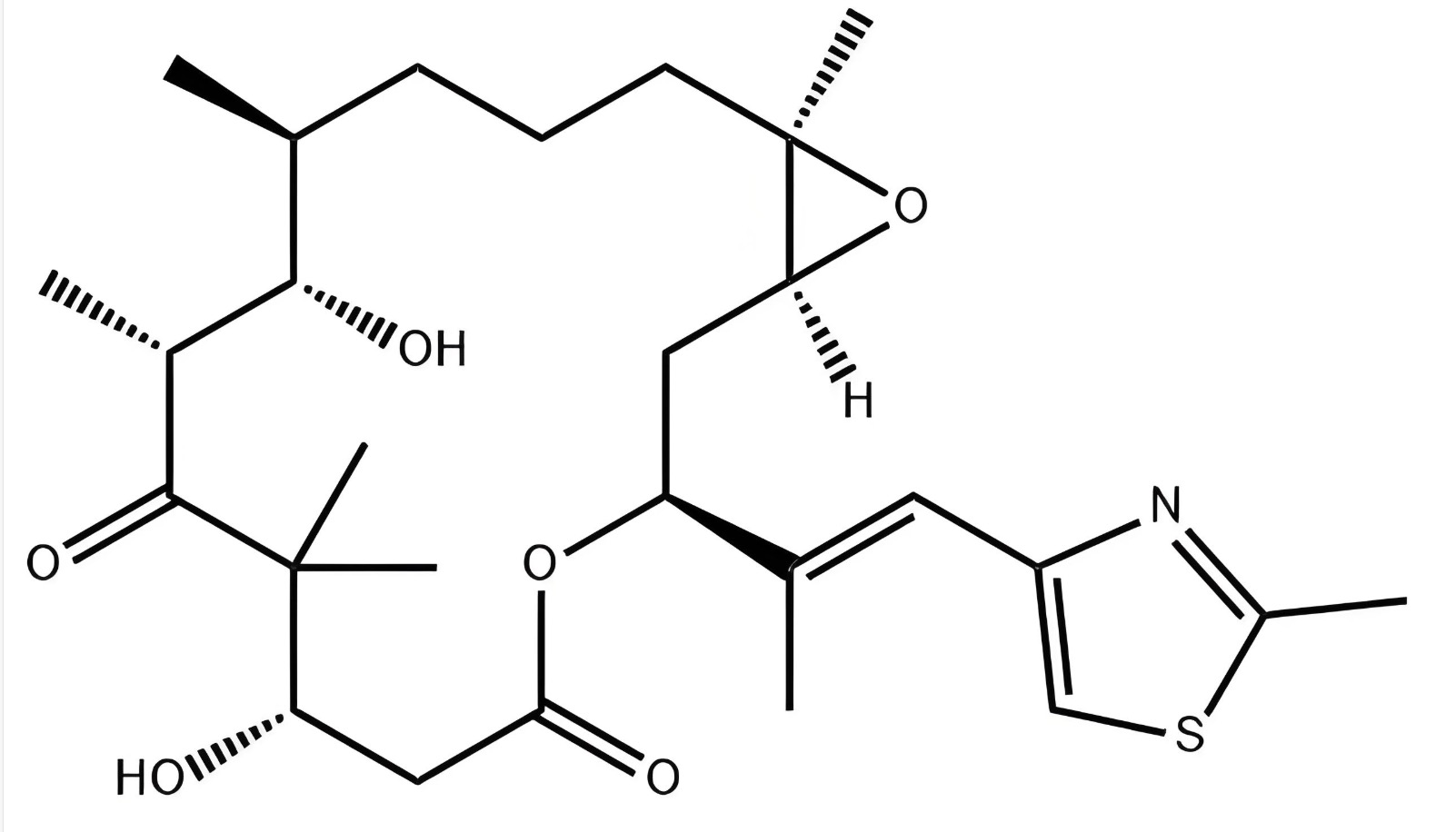 Epothilone B