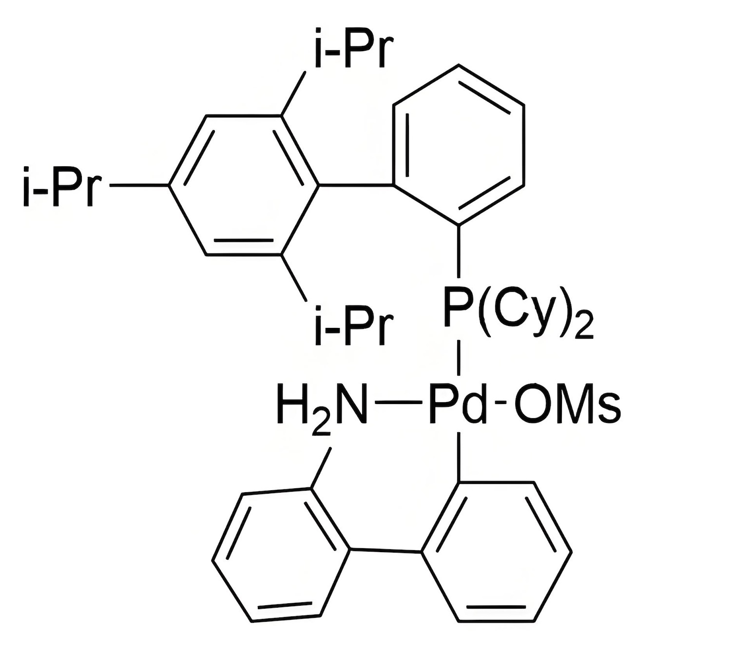 XPhos Pd G3